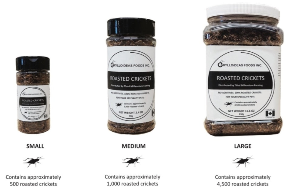 Roasted crickets – Port Credit Pets